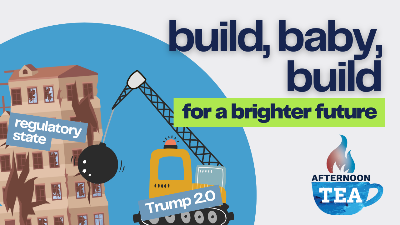 Build, Baby Build for a Brighter Future - TEA